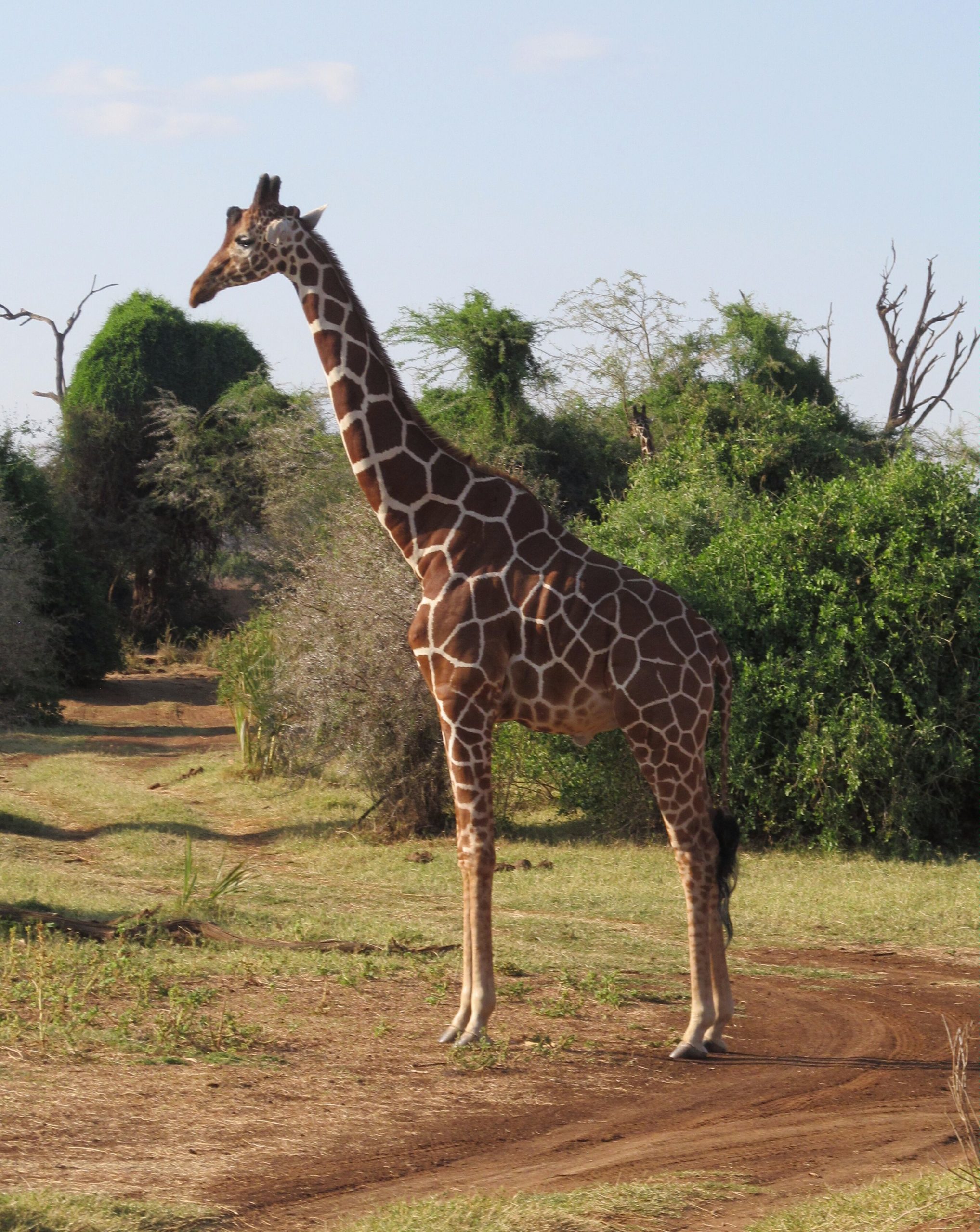 Document Imaging Toolkit - UniSoft Imaging