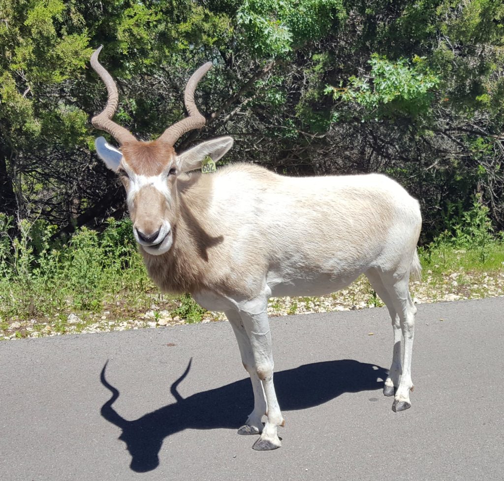 Cost/Pricing - UniSoft Imaging